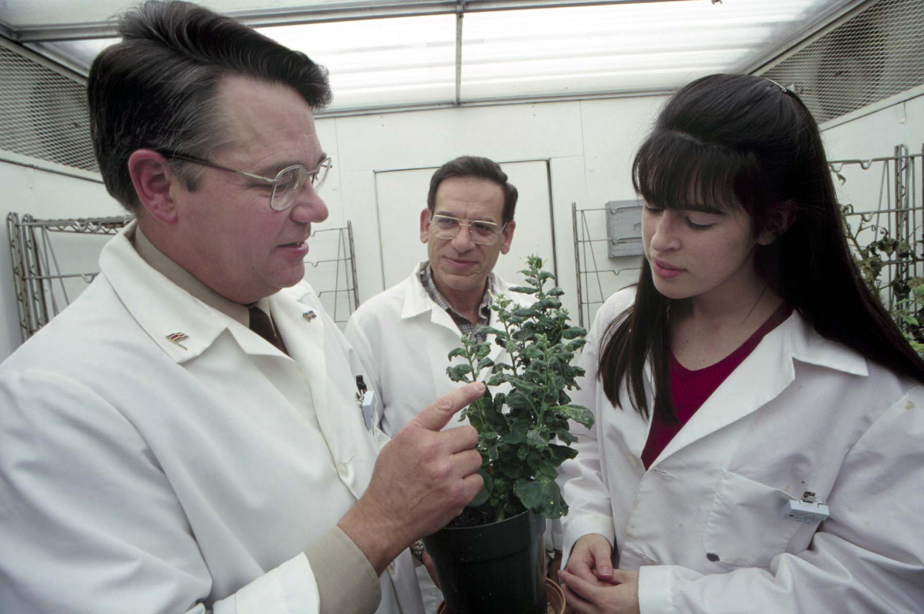 Maxwell in the Lab – CALS News