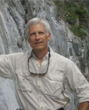 Munching bugs thwart eager trees, reducing the carbon sink – CALS News