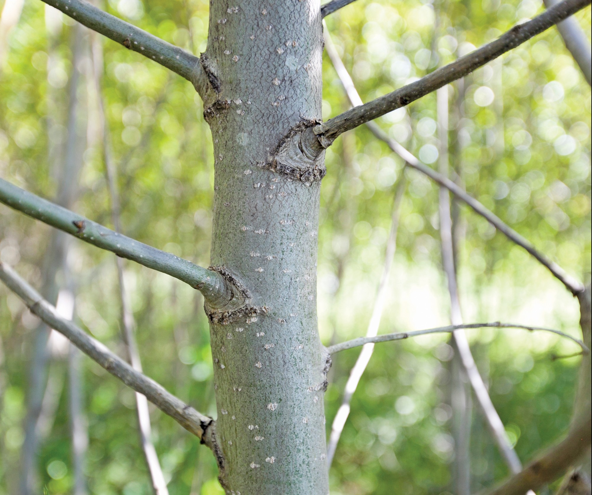 The future, unzipped: Pioneering a technology that could revolutionize ...