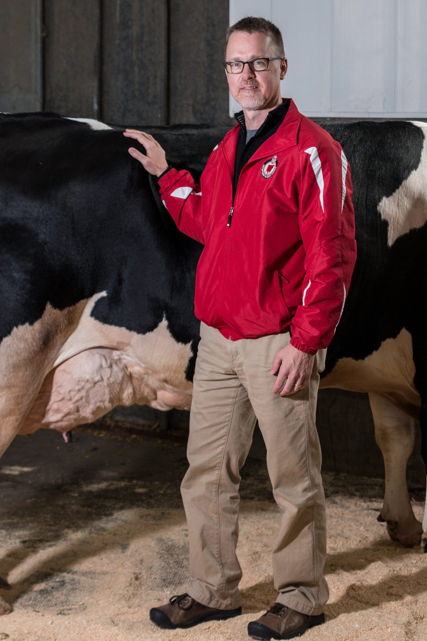 Milk, motherhood and the dairy cow – CALS News