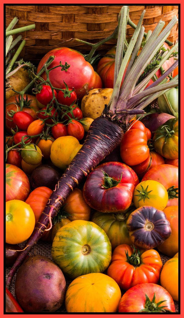 Building a better carrot – Audio – CALS News