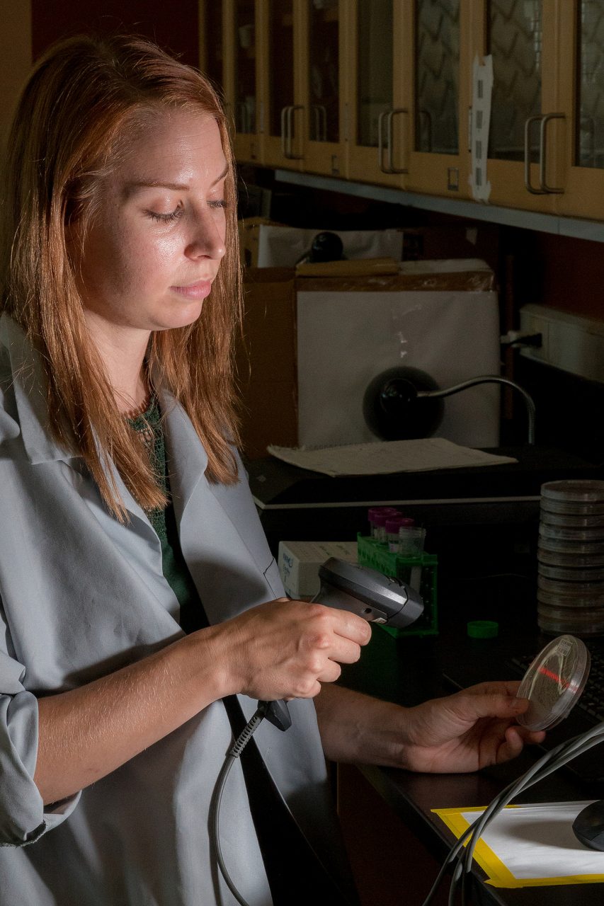 Antibiotics off the beaten path – CALS News