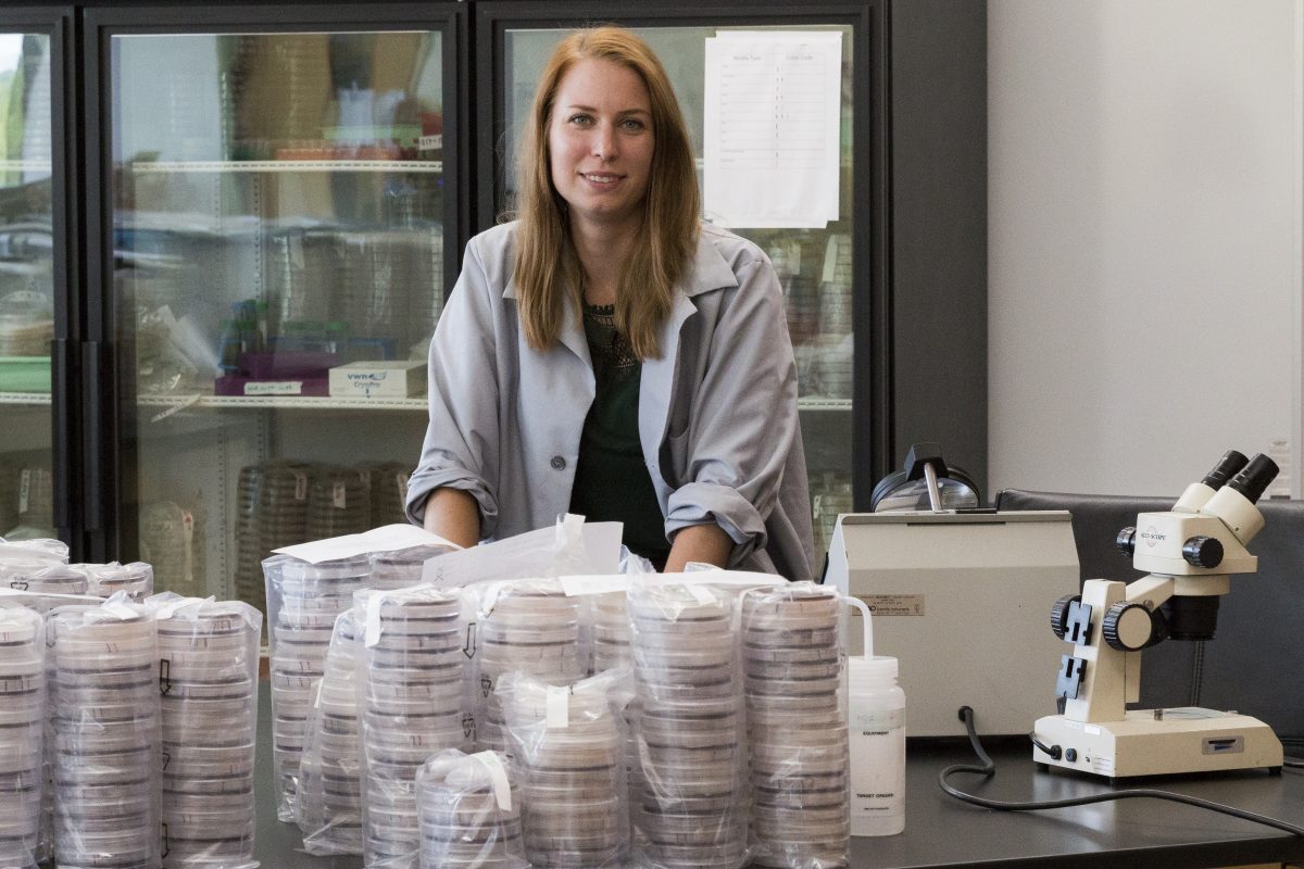 Bioprospecting for new medicine – Audio – CALS News