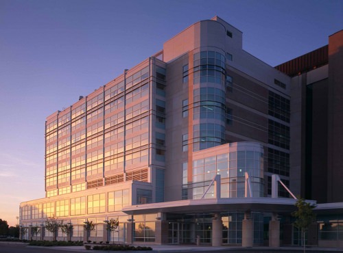 Researchers make headway toward understanding Alexander disease – CALS News