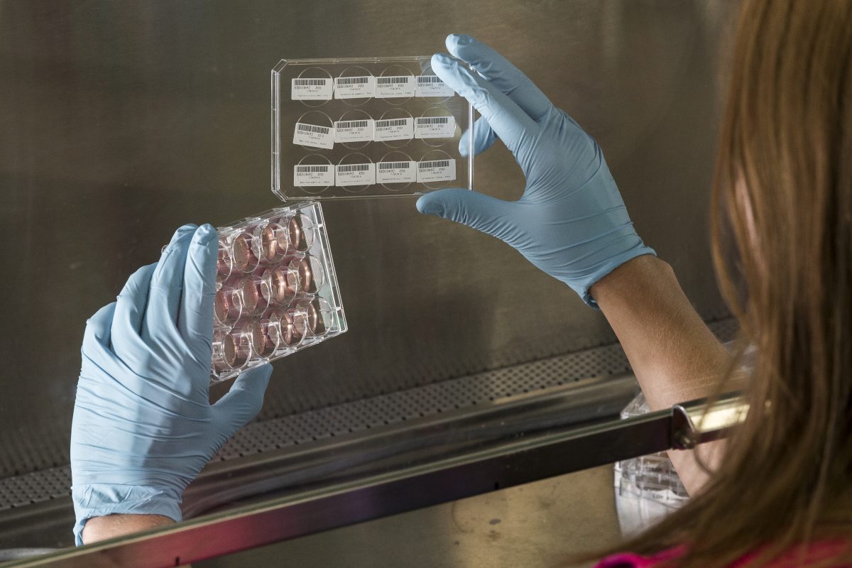 Bioprospecting for new medicine – full Audio – CALS News