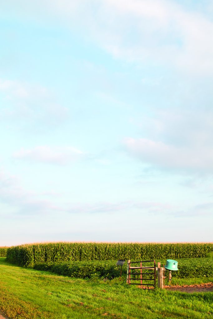 The science farm: A decades-long project offers insights into ...