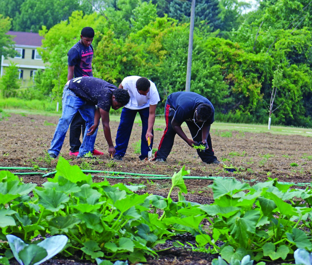 A big-city ag high school blossoms: CALS helps leads a rebirth of ...