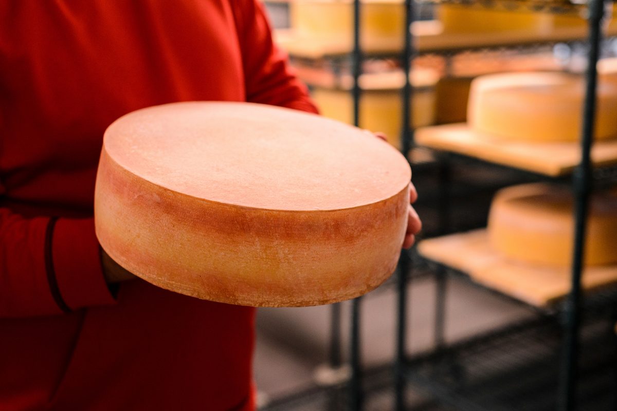 A tale of two cheeses: How the Center for Dairy Research helped ...