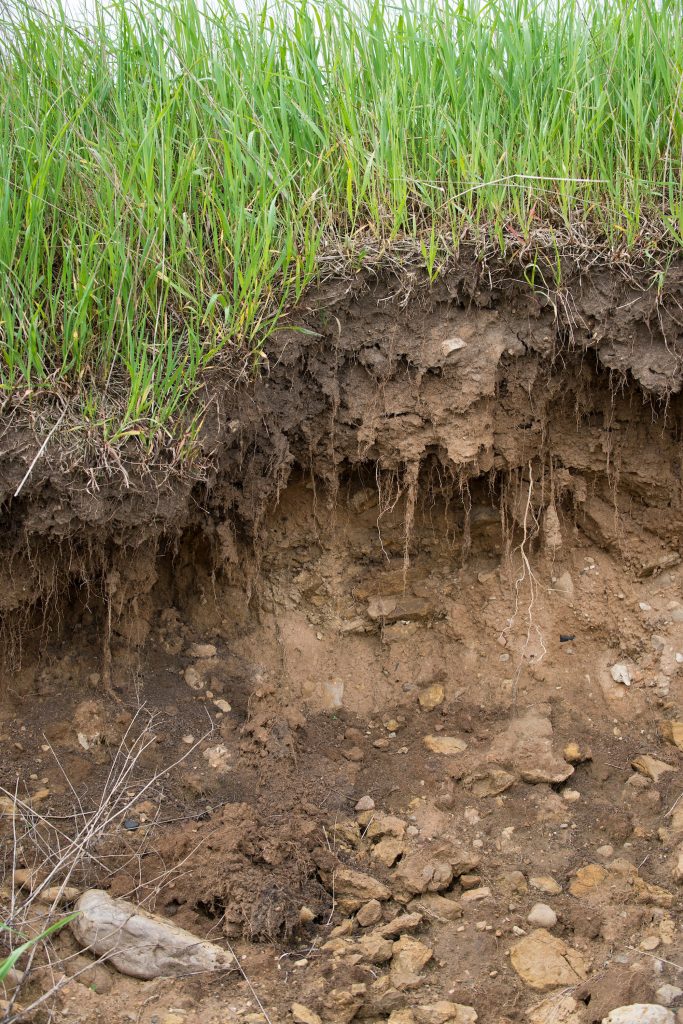 Five things everyone should know about the soils of Wisconsin – CALS News