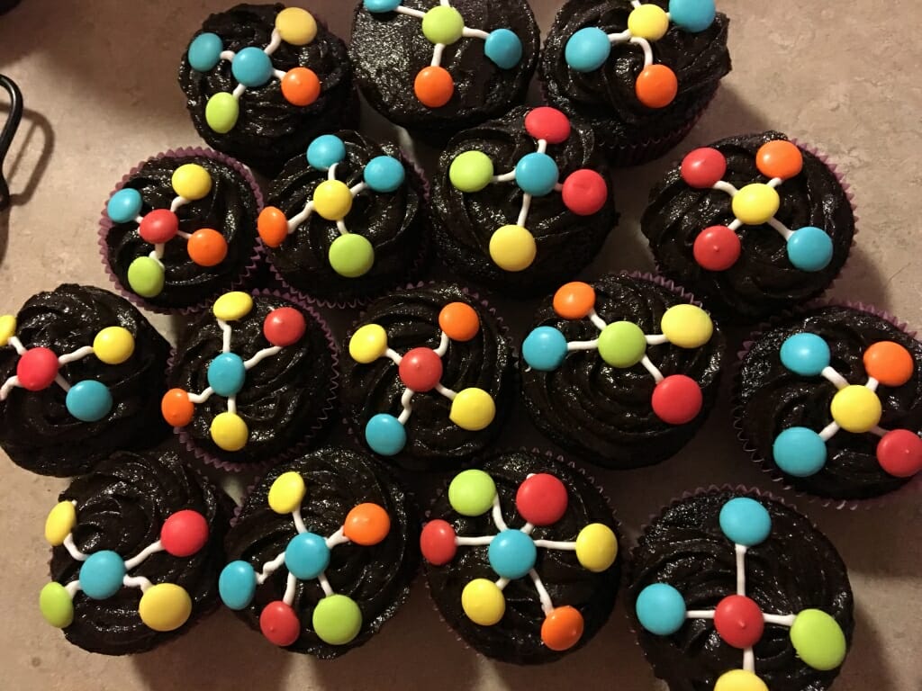 Cakes make for delicious, approachable science outreach – CALS News