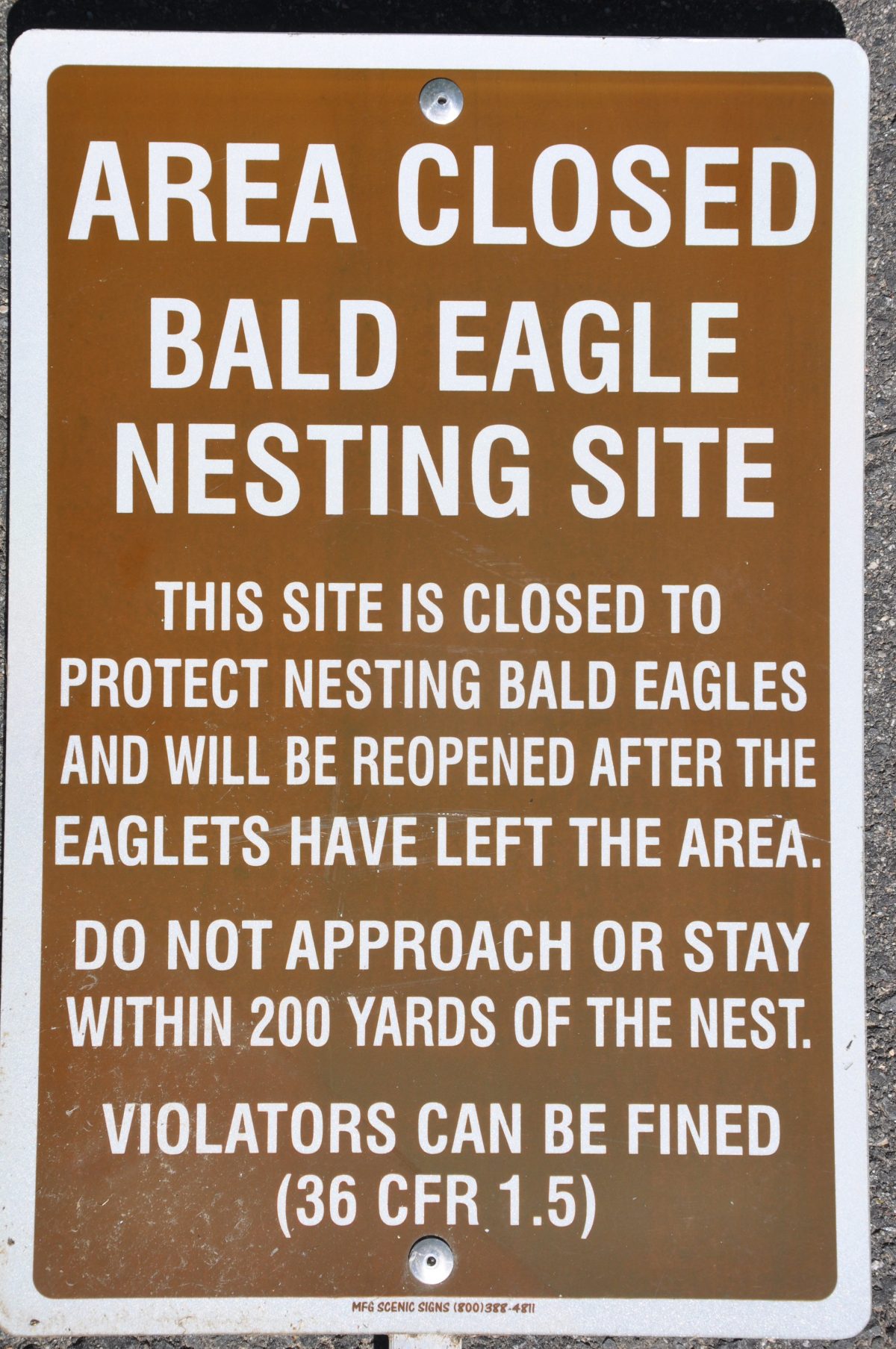 Scouting the eagles: Proof that protecting nests aids reproduction ...