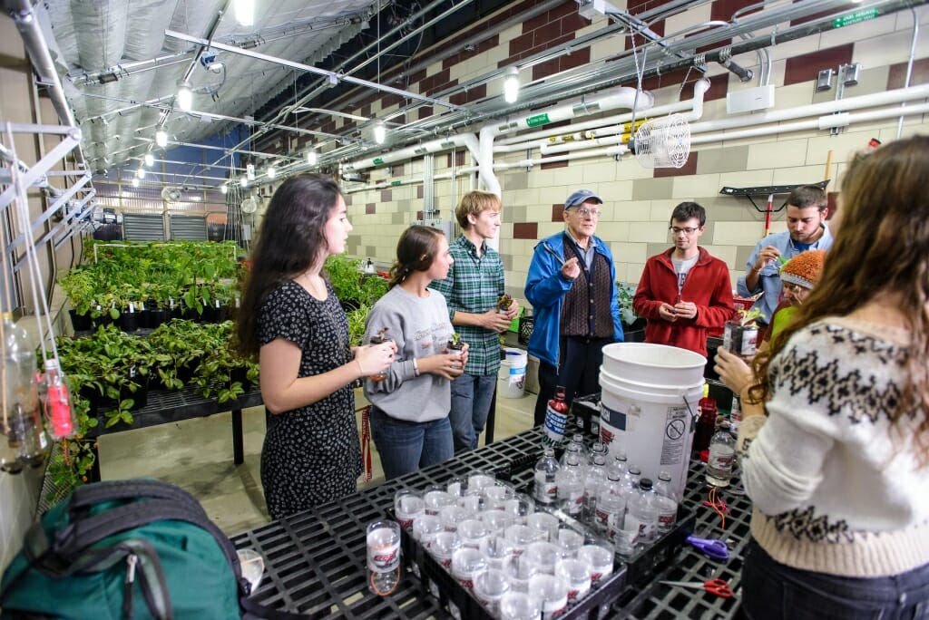 Greenhouses contend with the climate to keep plants growing – CALS News