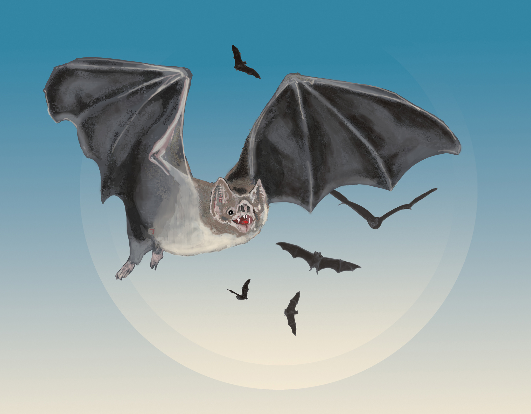 Five things everyone should know about vampire bats – CALS News