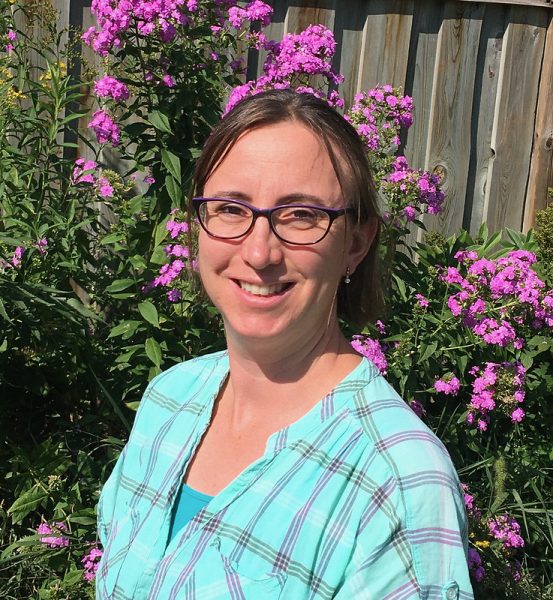 WiBee mobile app seeks to assess, bolster Wisconsin’s wild bees – CALS News