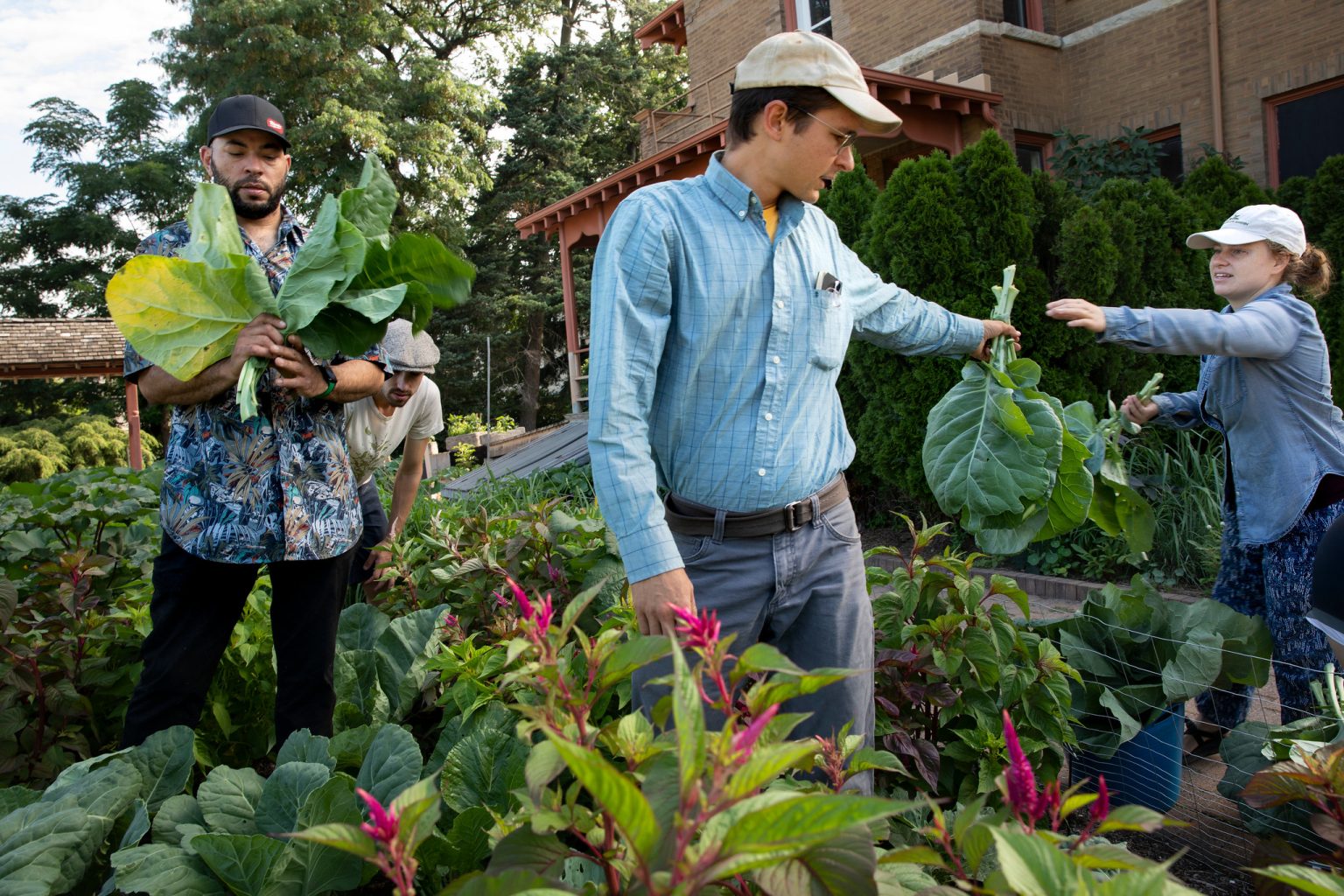 UW’s Allen Centennial Garden hosts Harvest Festival on Oct. 8 – CALS News