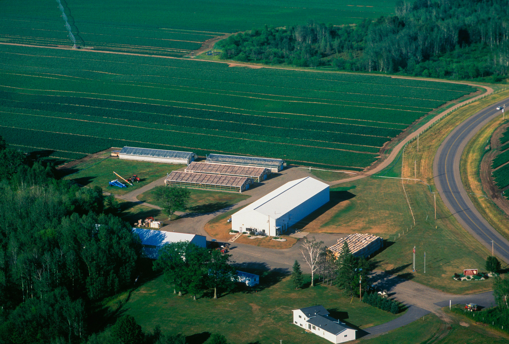 New public-private partnership to improve seed potato production in ...