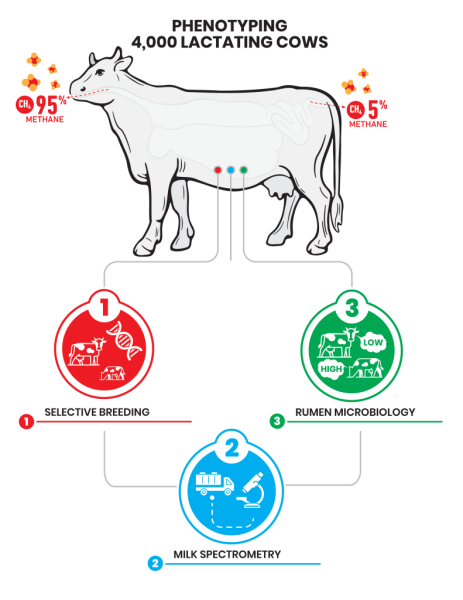 Dairy Innovation Hub partners to support research to reduce cattle ...