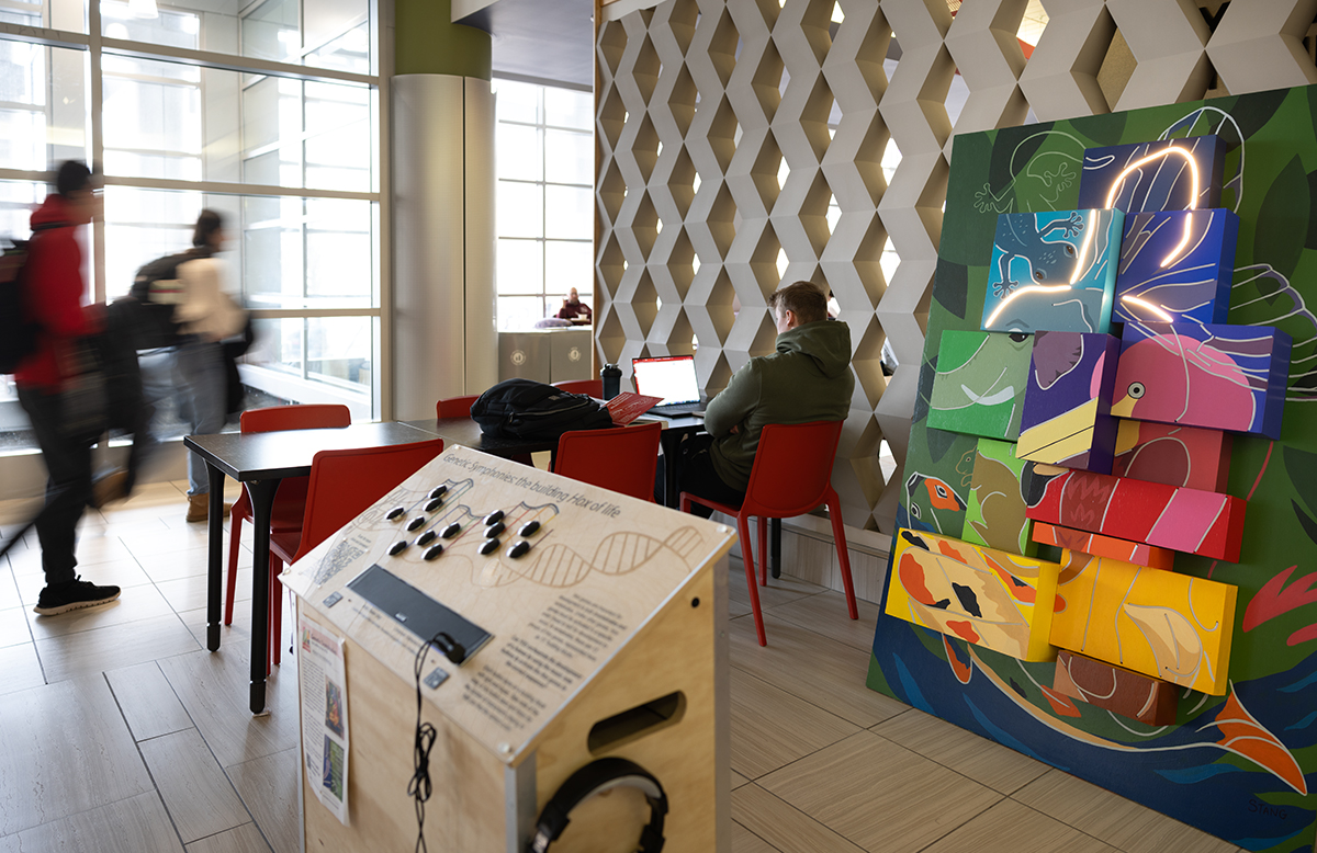 CALS News – College of Agricultural & Life Sciences